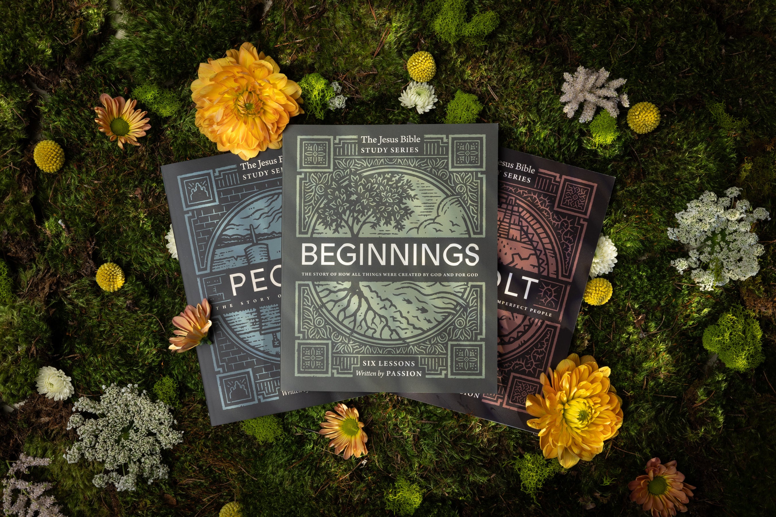 Ben Stuart – passion resources