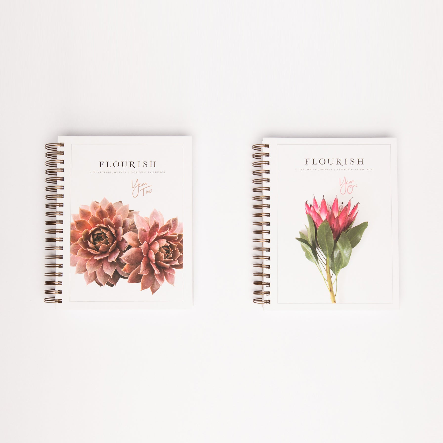 Flourish: A Mentoring Journey Bundle – passion resources